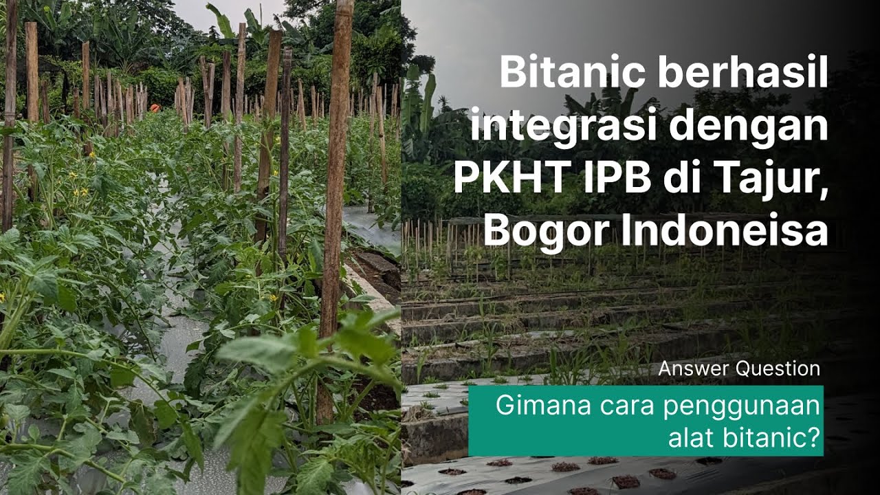 Instalasi Bitanic di PKHT IPB Tajur, Bogor, Indonesia | Precision ...