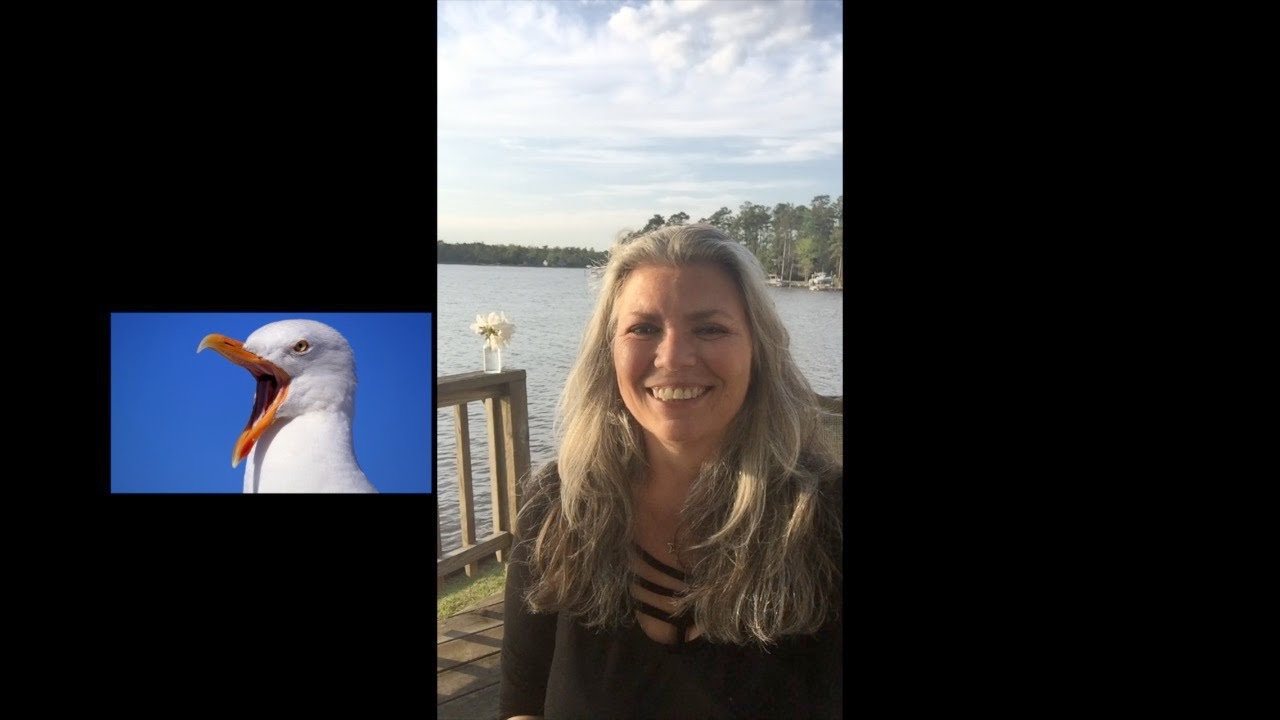 HOW TO CHANNEL PART 2 - MEET YOUR SPIRIT GUIDE debuts Next Week! - YouTube