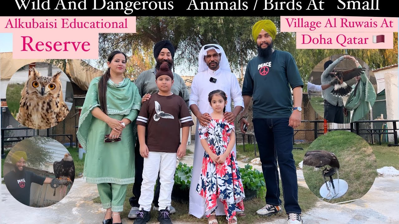 Wild And Dangerous Animals And Birds At Small Village Al Ruwais At Doha ...