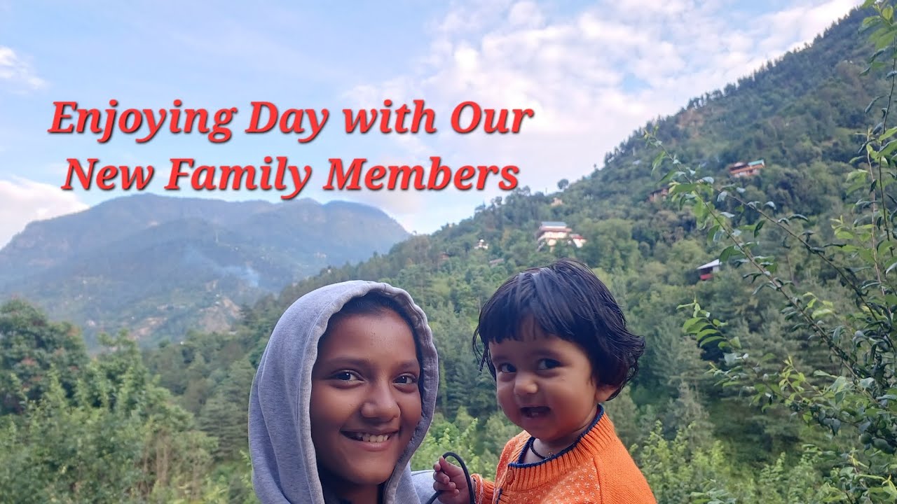 हमारे नए Family Members || Couple Left City Life @DelhitoValleyHome ...