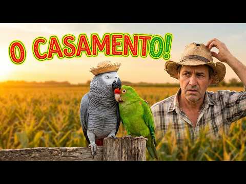 Xote Do Papagaio - Ivan Taborda 