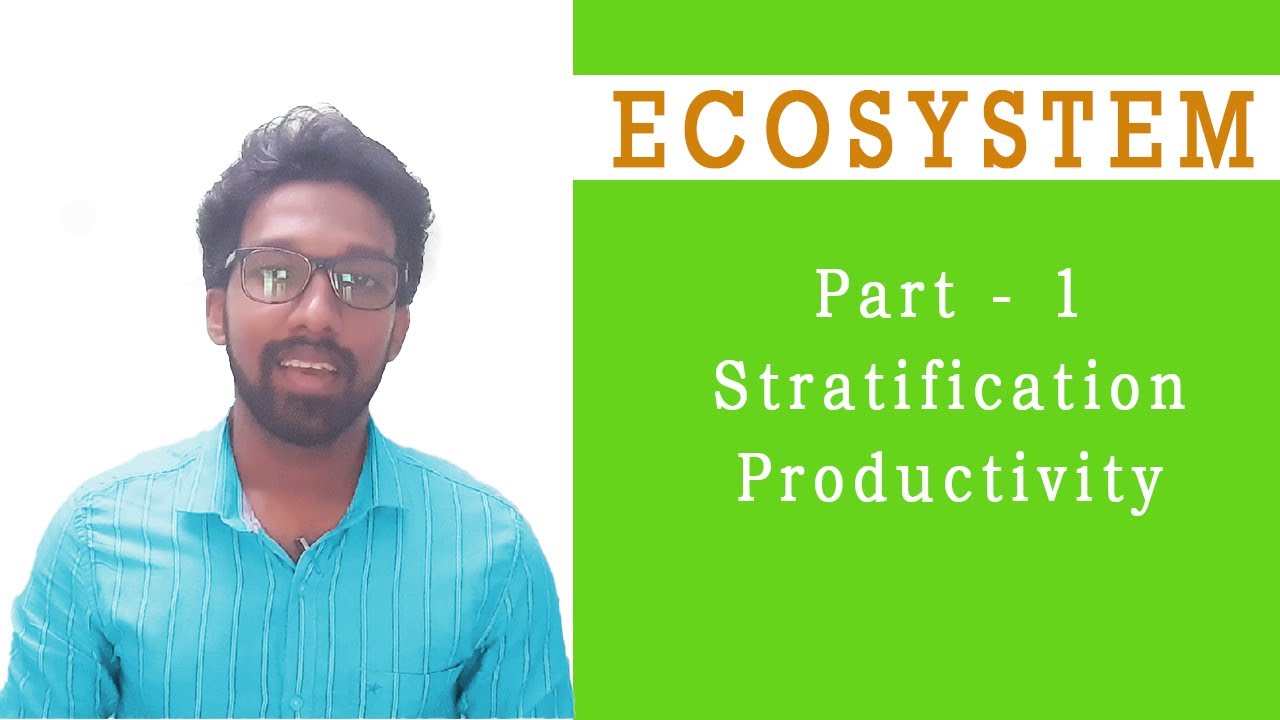 Class 12 - Ecosystem Part 1 (Proudctivity, Stratification ...) - YouTube