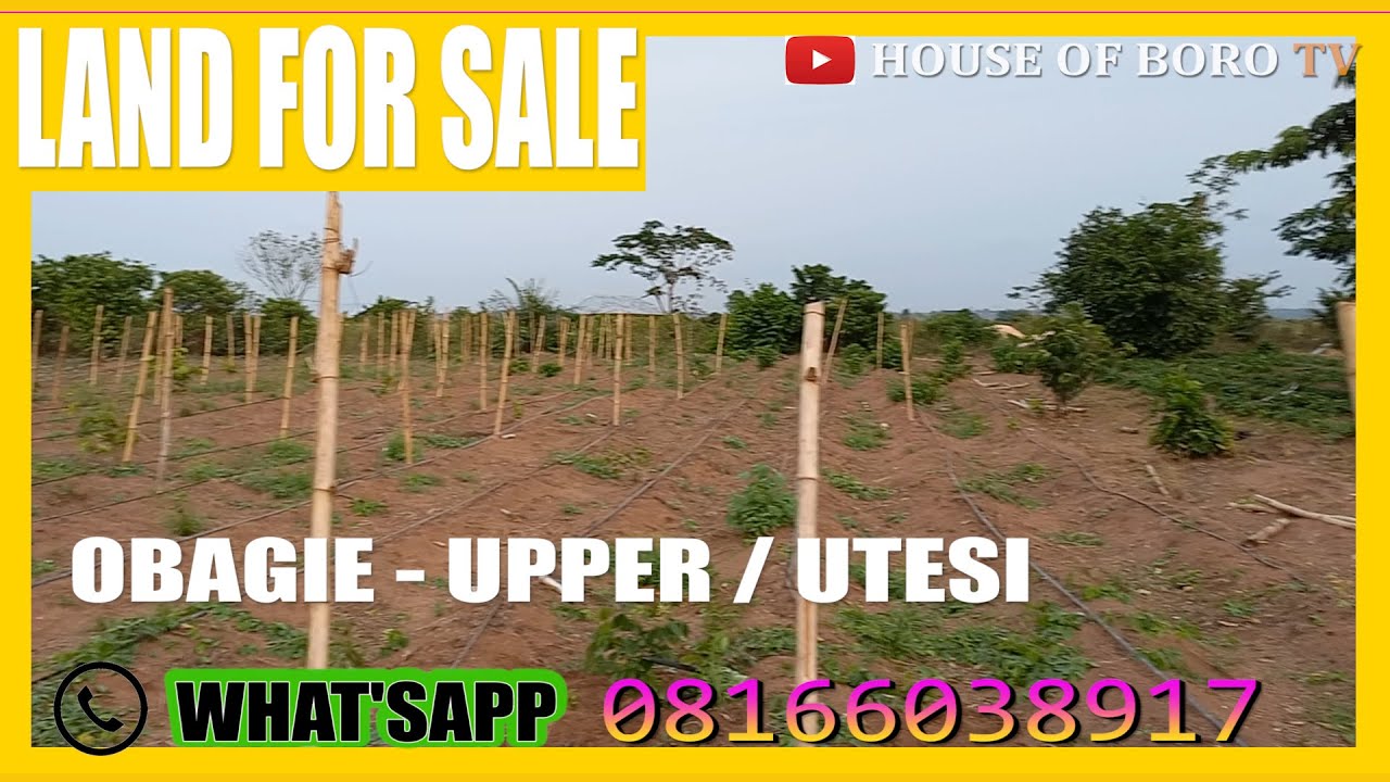 PROPERTY FOR SALE IN BENIN CITY, EDO STATE - OBAGIE EMMA MARLBORO ...
