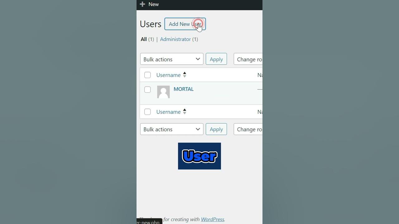 How to Add New User to your WordPress Website Roles Manage and Permissions #Shorts - YouTube
