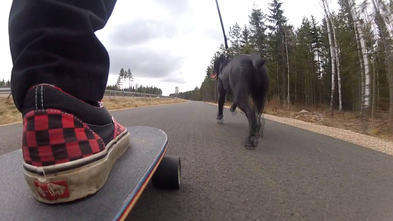 Longboarding with dog - YouTube