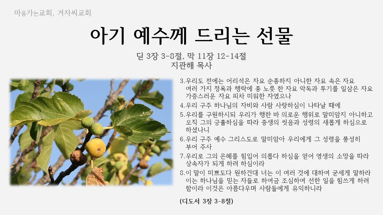 아기 예수께 드리는 선물 딛 3장 3 8절 막 11장 12 14절 지관해 목사 Youtube