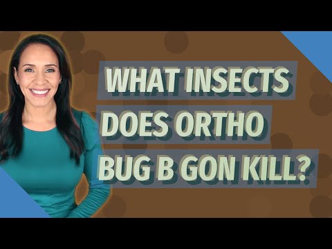 What Insects Does Ortho Bug B Gon Kill