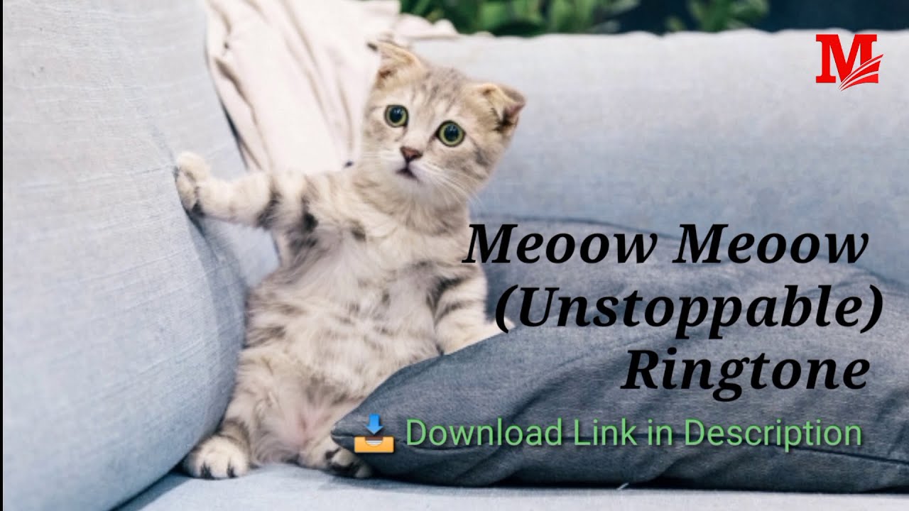 Meoow Meoow Ringtone | Unstoppable Ringtone | Download Link 👇 | MR ...