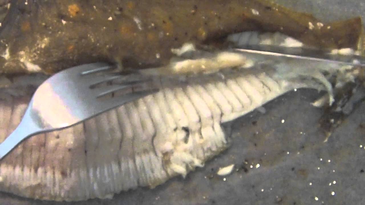 Life hack- How to eat a flatfish, avoiding the bones - YouTube