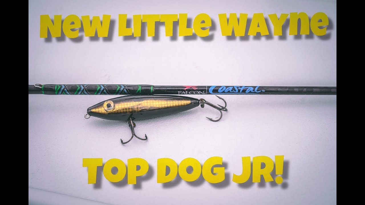 New Little Wayne Top Dog Jr. - YouTube