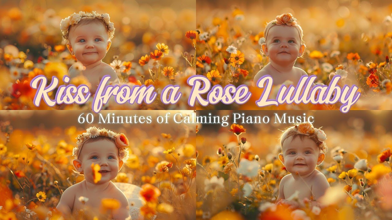 Kiss from a Rose Lullaby - Baby's Dream in a Sea of Flowers | 60 ...