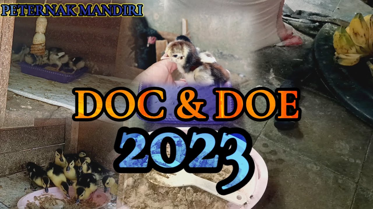CARA RAWAT DOC,DOE DENGAN BAIK & BENAR - YouTube