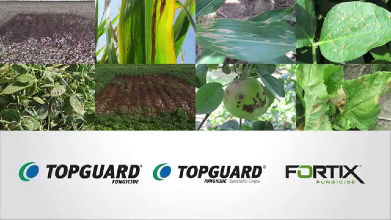 Cheminova Helping You Grow in 2014 - YouTube