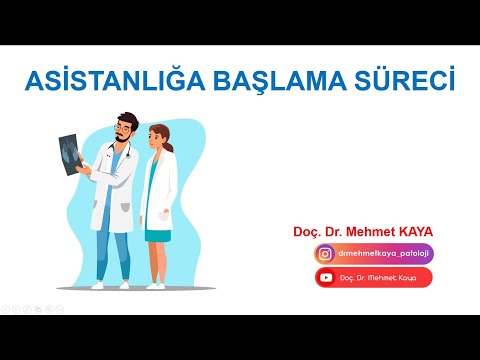 Adım Adım Asistanlığa Başlama Süreci