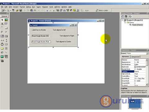 17 label properties - Visual Basic - YouTube