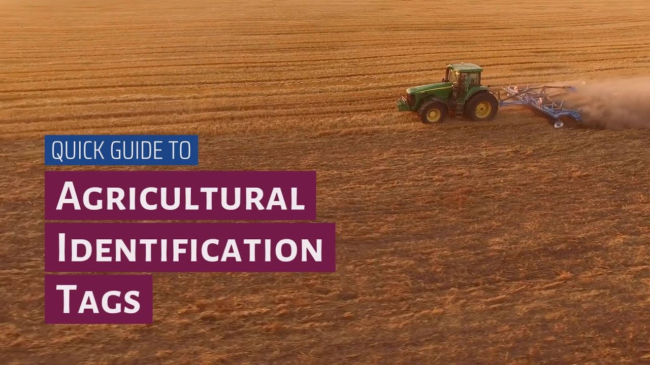 Agriculture Tags - A Quick Guide - YouTube