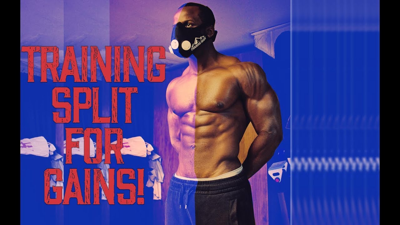 What is the best Training Split | Workout Program - YouTube