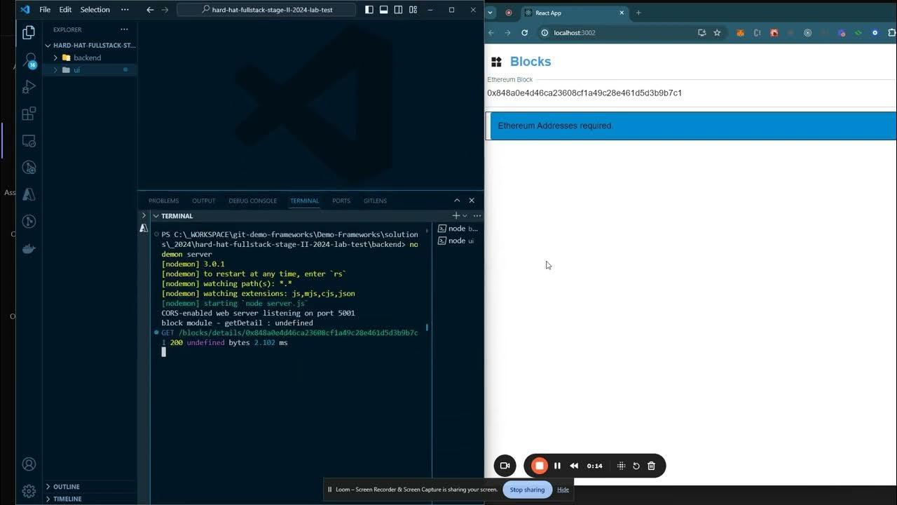 Application Demo - YouTube