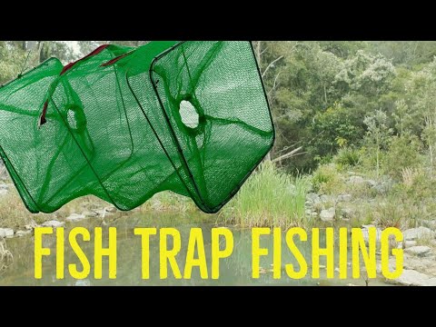 Fish trap fishing Australian creek - YouTube