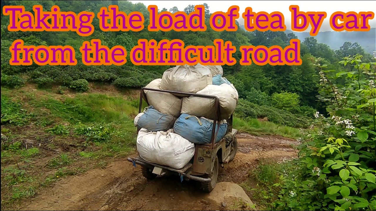 Heavy transport / dangerous road / tea load - YouTube