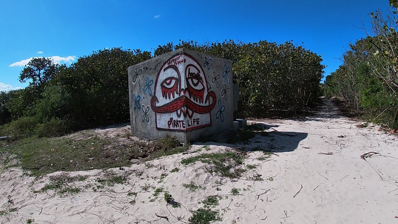 Yellowtail Snapper, Grunt, Grouper, catch & cook - YouTube