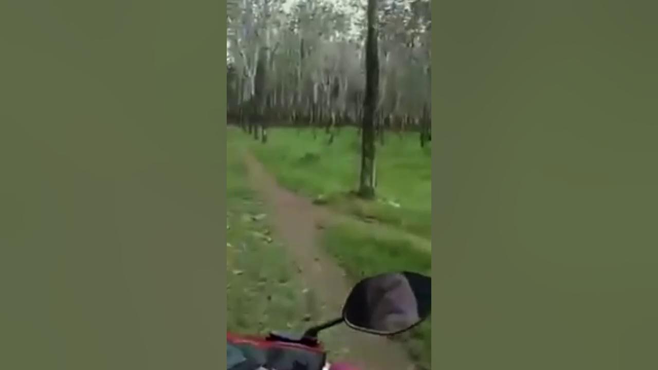 Bokep anak sklolah ketangkap lagi bugil di hutan rambungan - YouTube