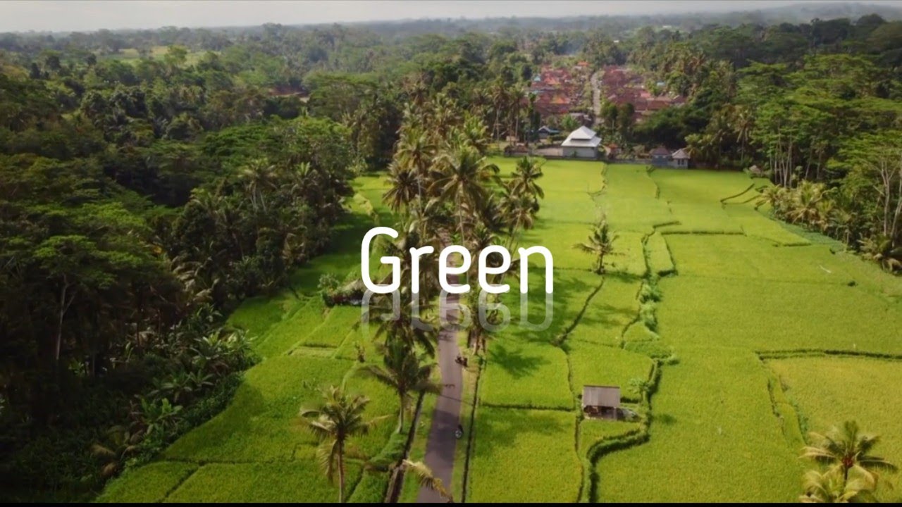 Nature cinematic video for edits | No copyright scenery video - Green ...