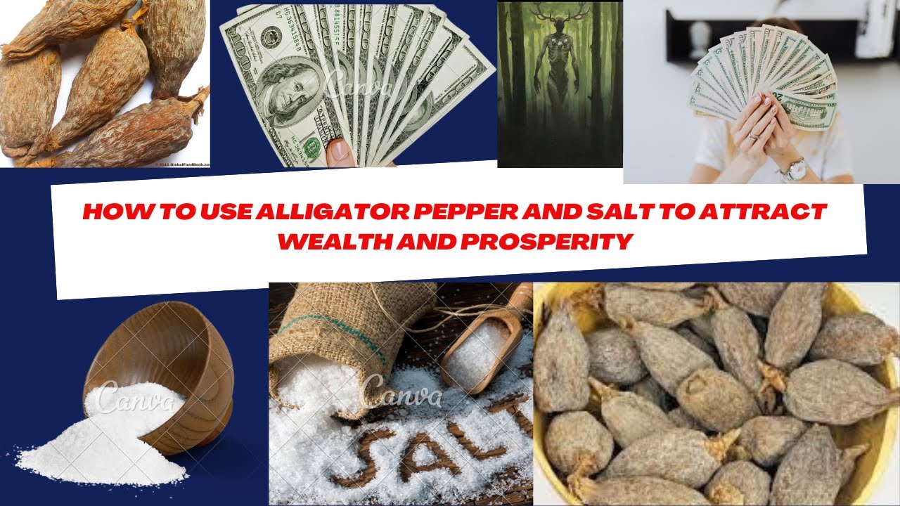How to Use Alligator Pepper and Salt to Attract Wealth and Prosperity ...