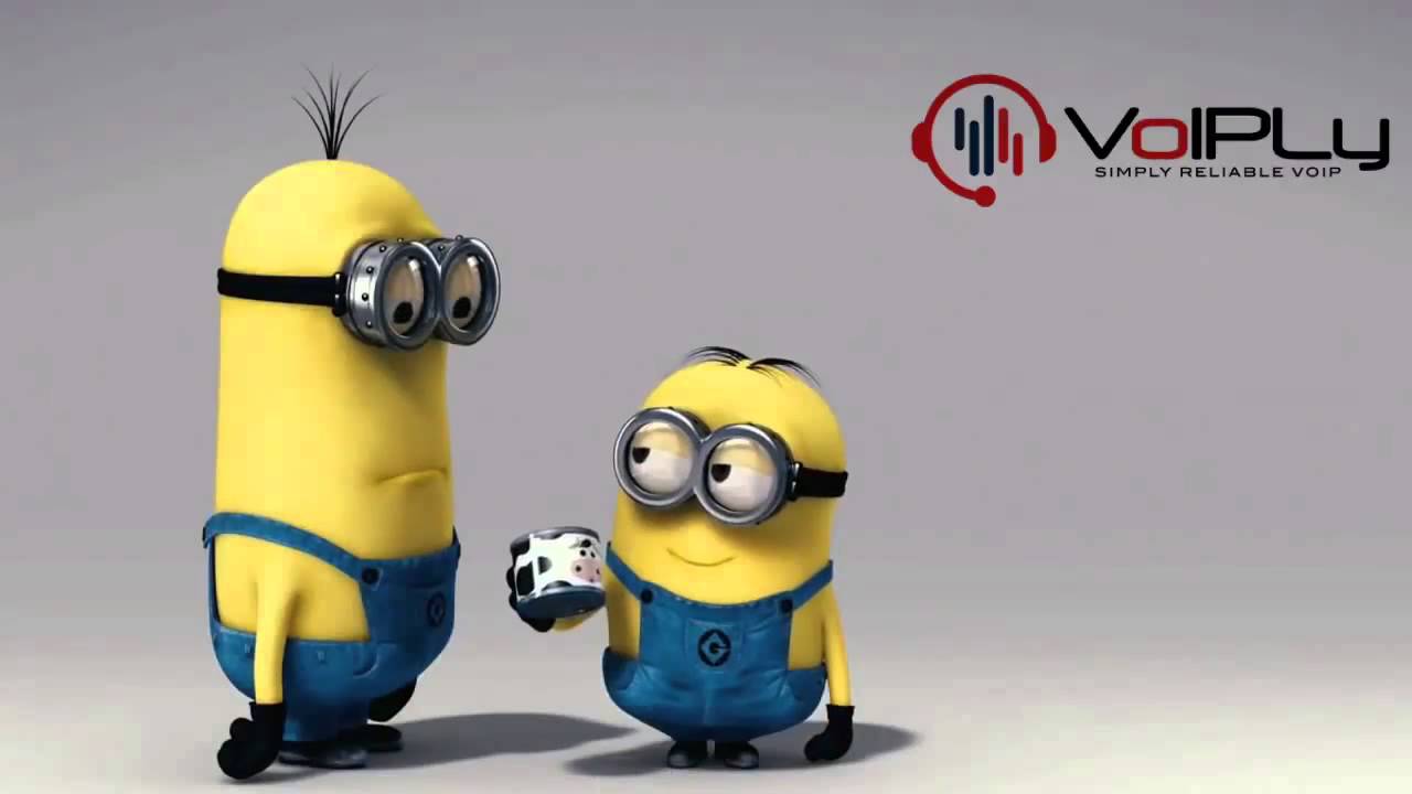 VoIPLy HD Minion Video - YouTube