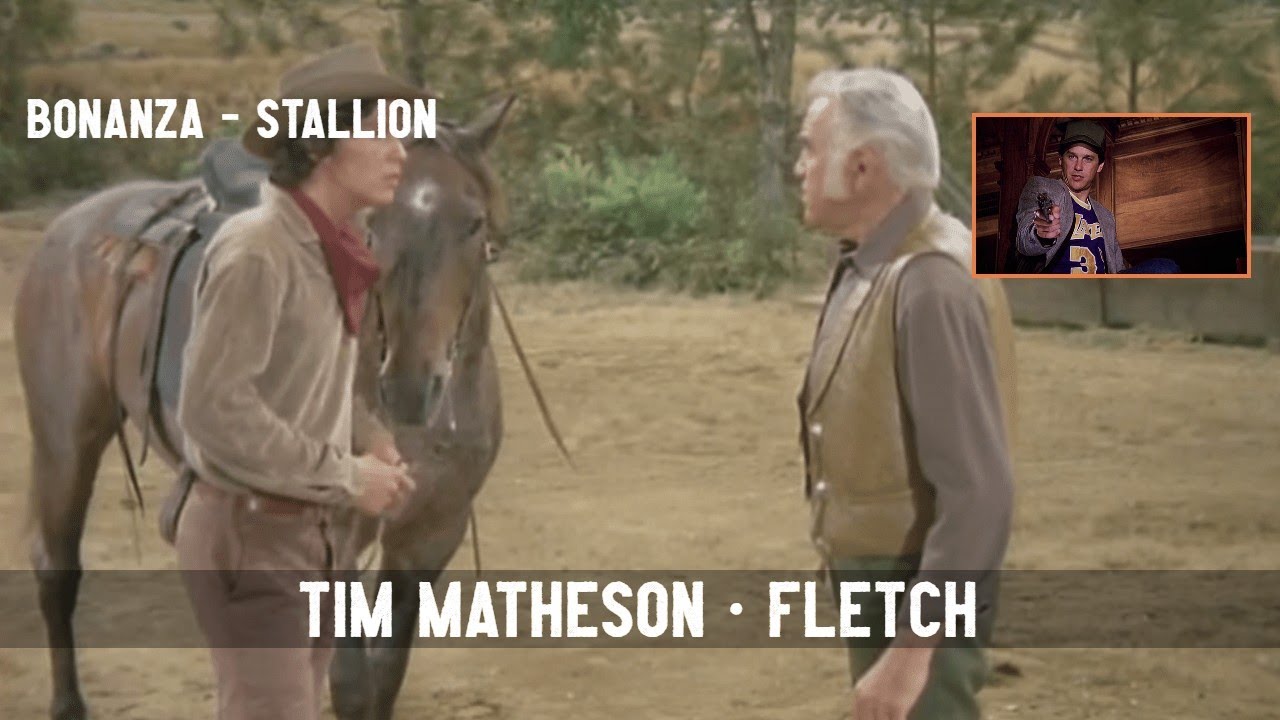 Bonanza | Episode 424 | Stallion | Tim Matheson - YouTube