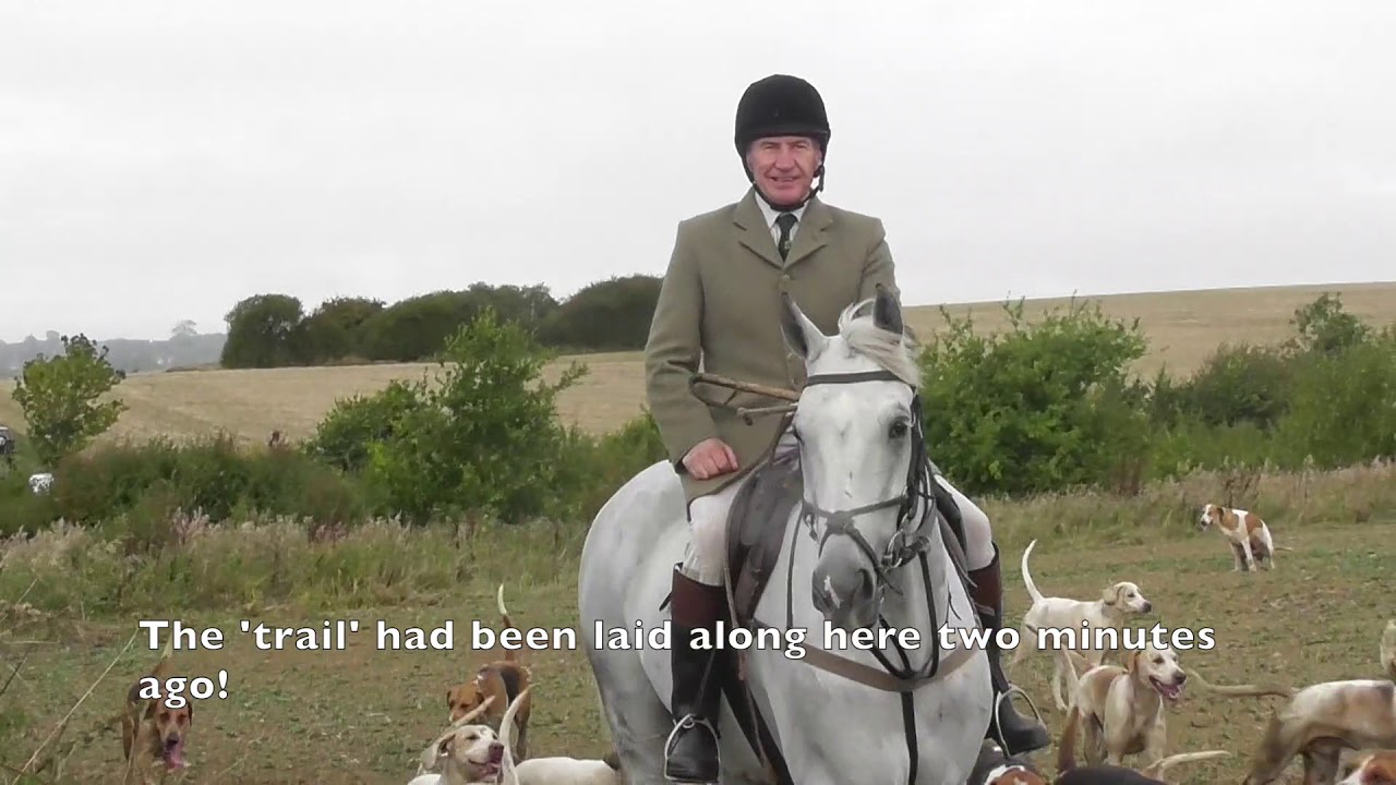 Grafton Hunt - What Trail, What's a Trail? - YouTube
