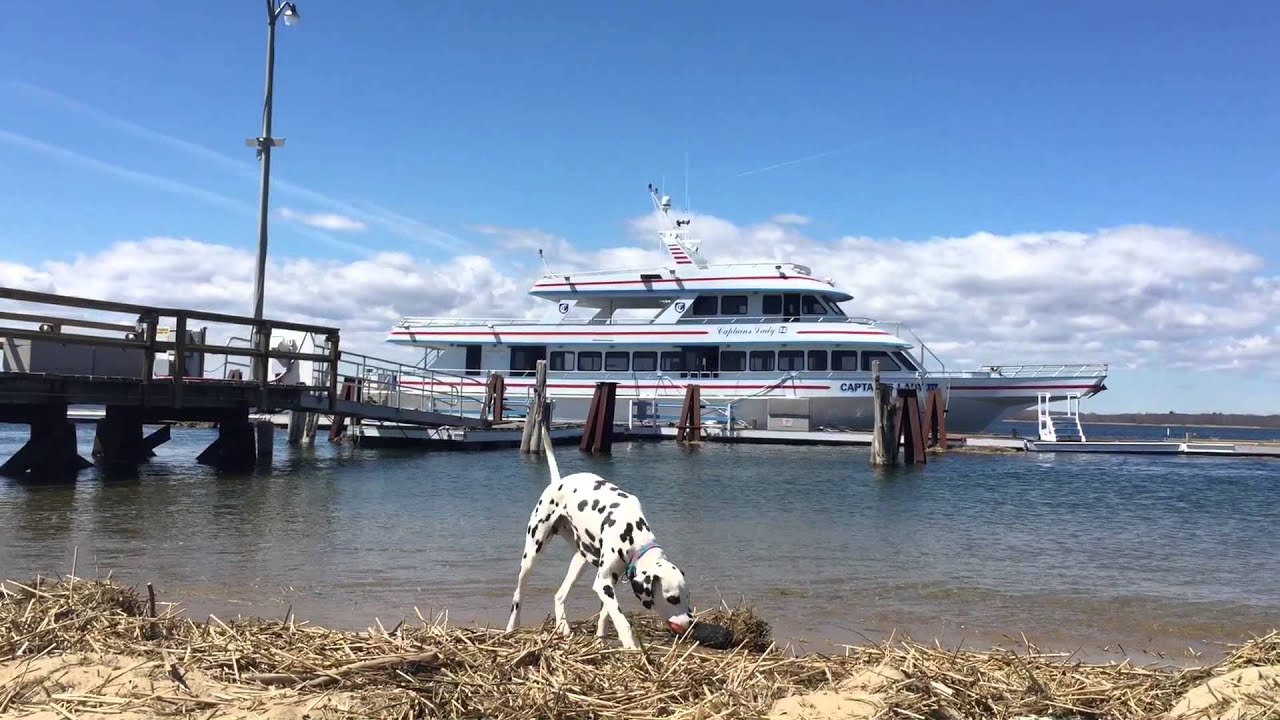 Captain Lady III Cruise Ship - YouTube