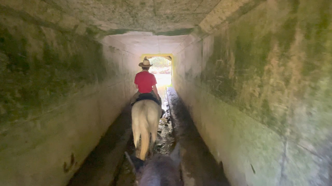 Smokemont Riding Stables (Guided Trail Rides) Cherokee NC - YouTube