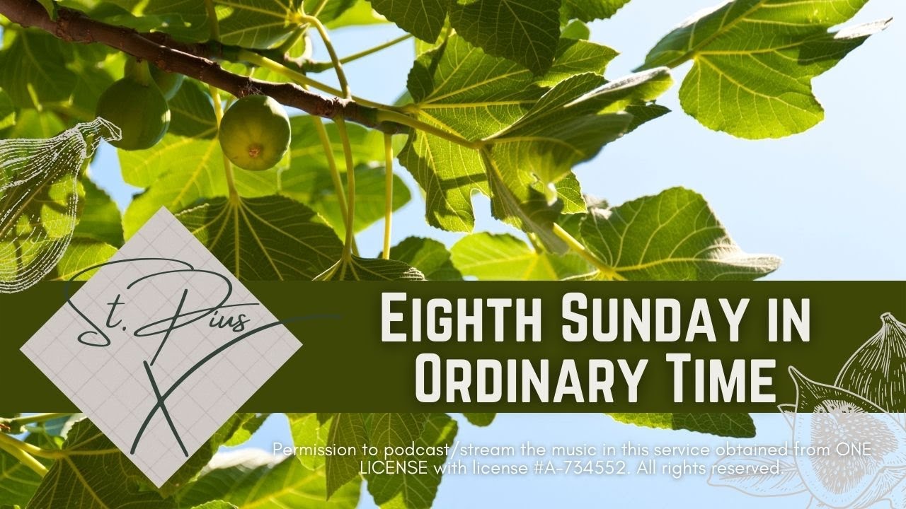 St. Pius X Church - Eighth Sunday in Ordinary Time - YouTube