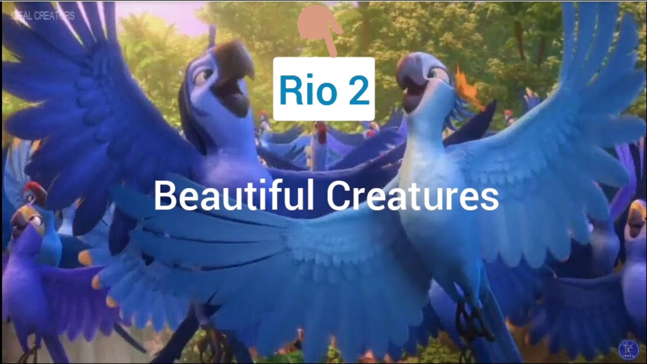 Rio 2- Beautiful Creatures ( Soundtrack #10) - YouTube