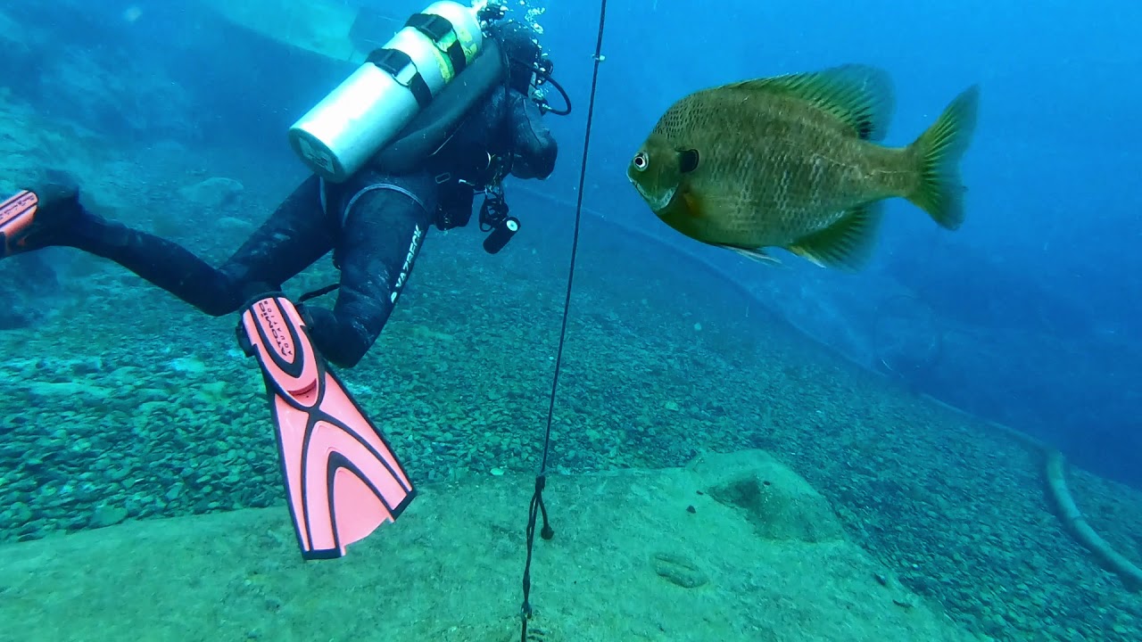 Unexplored Florida visits Vortex Spring in Ponce de Leon, Florida - 15 ...