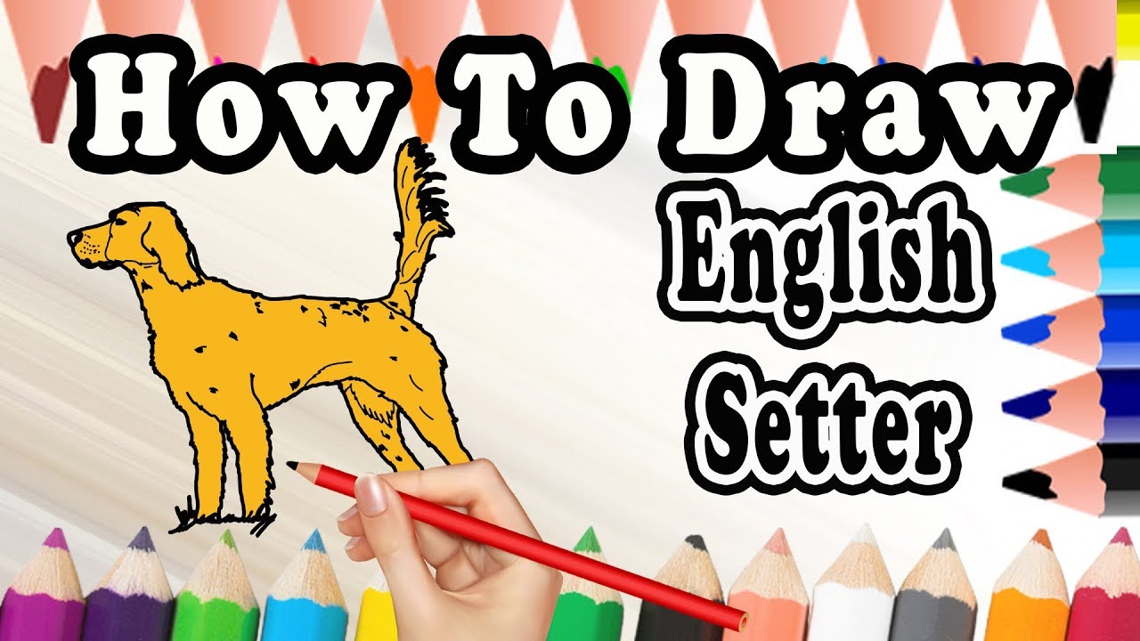 How To Draw A English Setter DOG | Drawing step by step Dog | Draw Easy ...