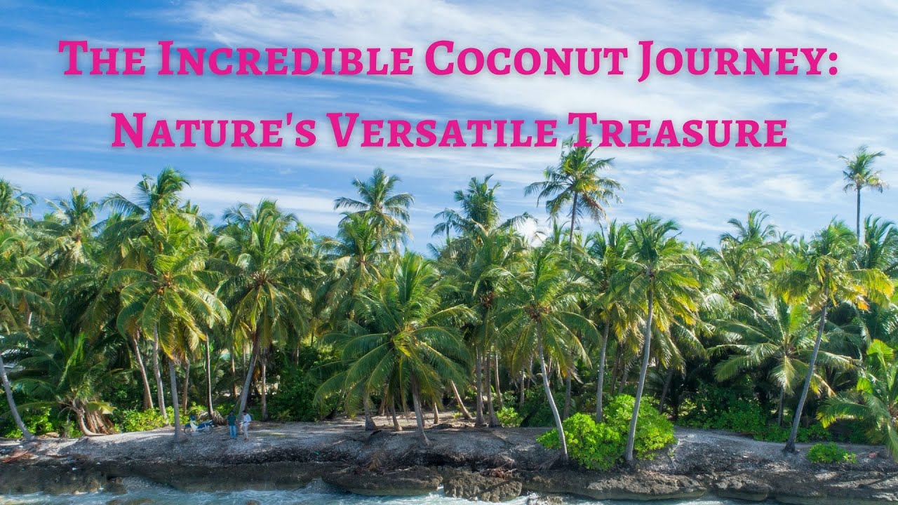 The Incredible Coconut Journey: Nature's Versatile Treasure #coconut ...