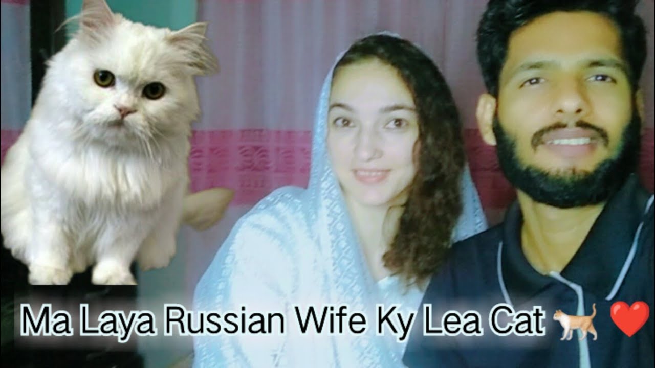 Ma Laya Russian Wife Ky Lea Persian Cat 🙌 #vlog - YouTube