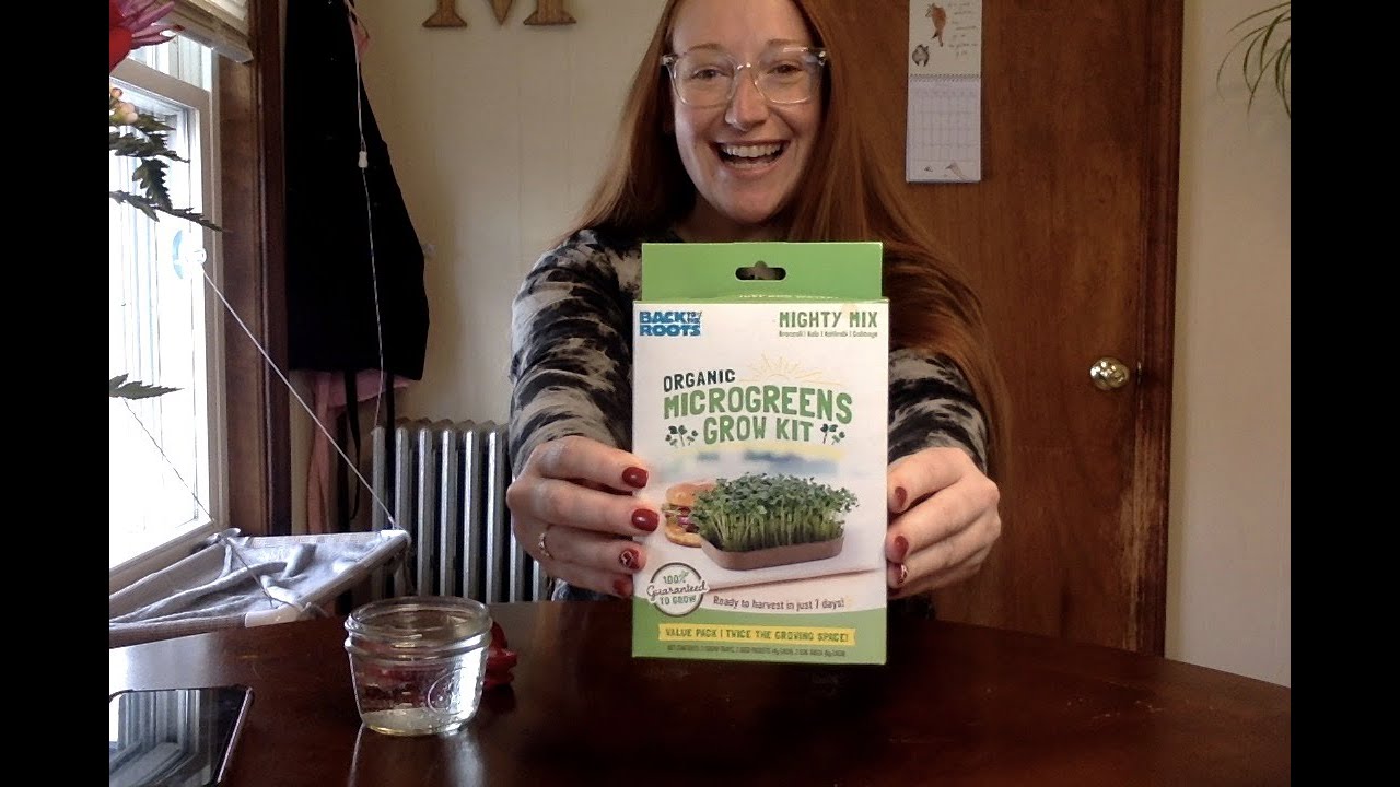 Back to the Roots Microgreens Grow Kit Tutorial - YouTube