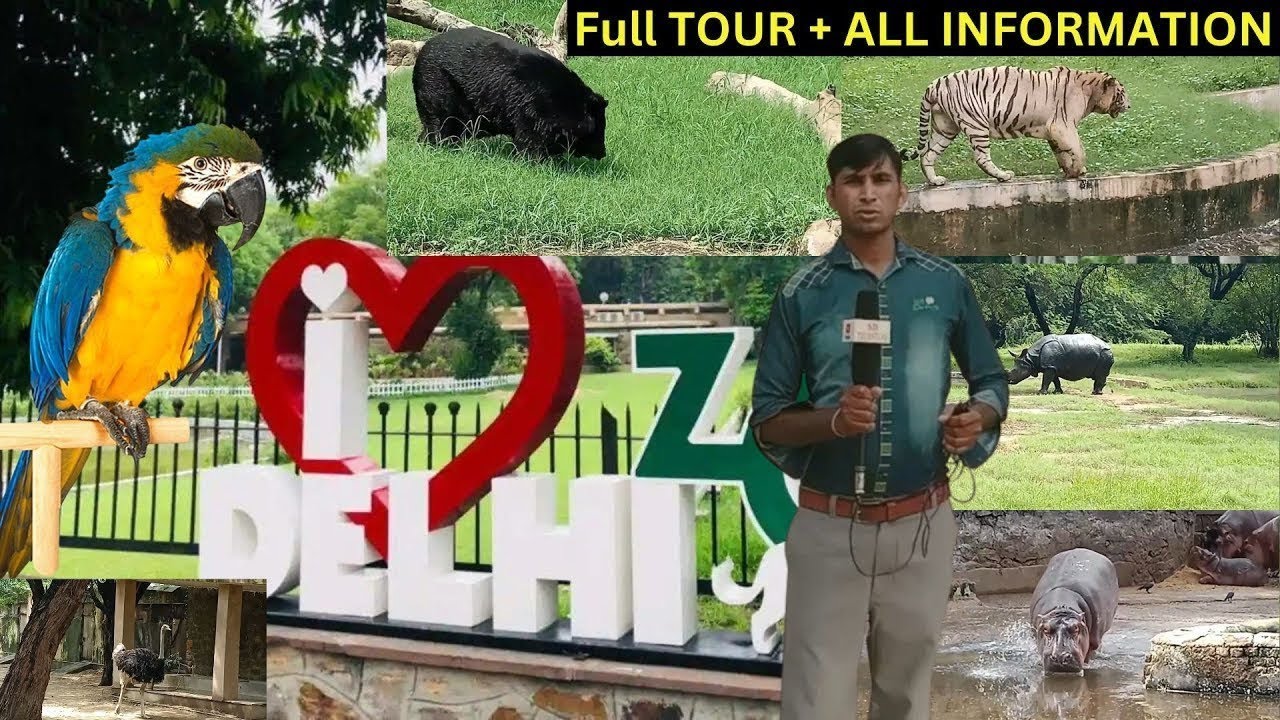 Delhi zoo delhi zoo all animals Delhi zoo online ticket booking, ticket price Delhi chidiya ghar ...