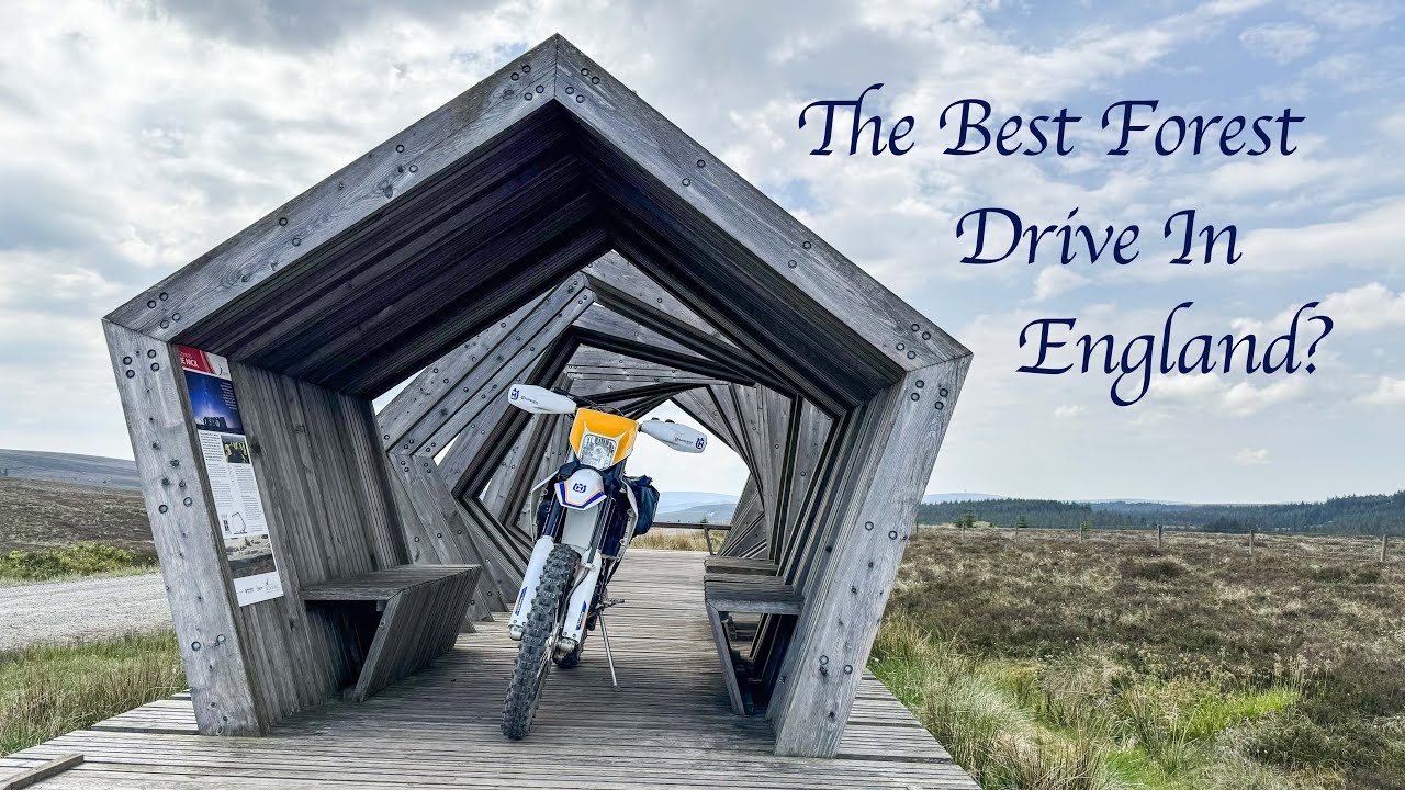 Is This The Best Forest Drive In England? - YouTube