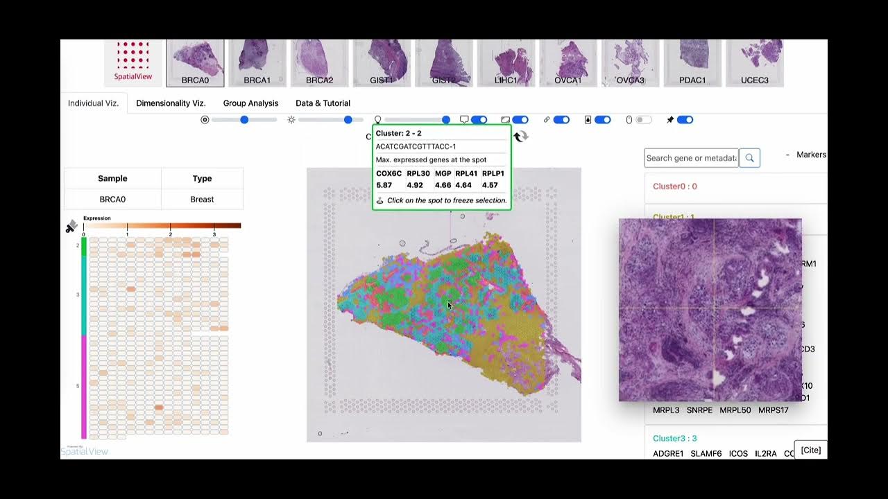 SpatialView Web Browser FunctionsTutorial - YouTube