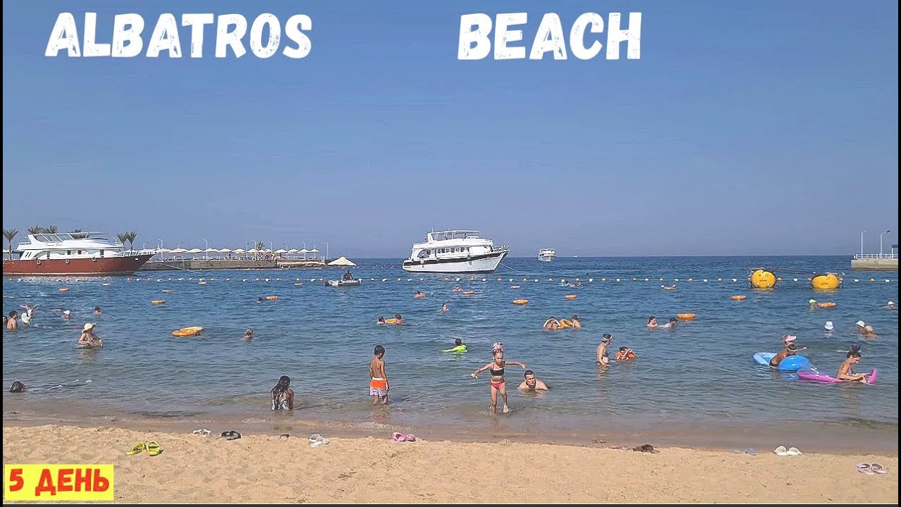 ☀️🌴 #5 Пятый день в Albatros Beach Resort ( Хургада , Египет 2024 ...