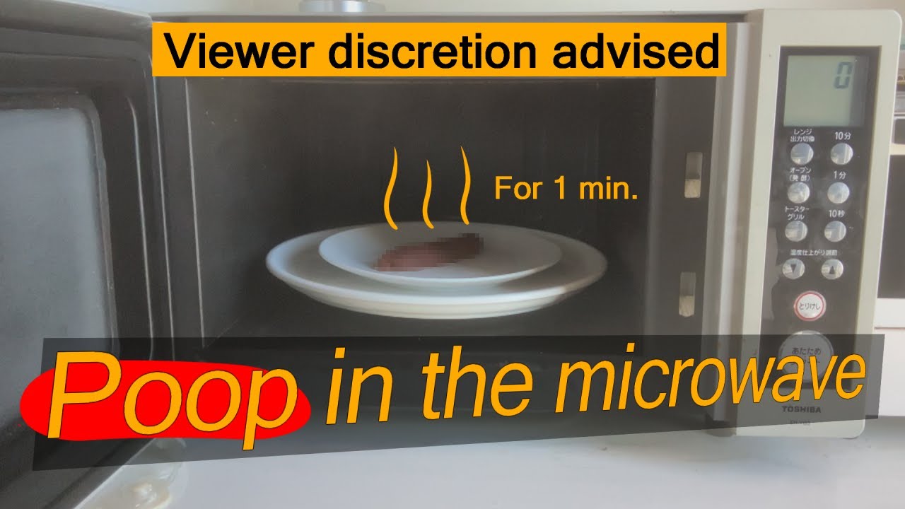 [ Viewer discretion advised ] Poop in the microwave - YouTube
