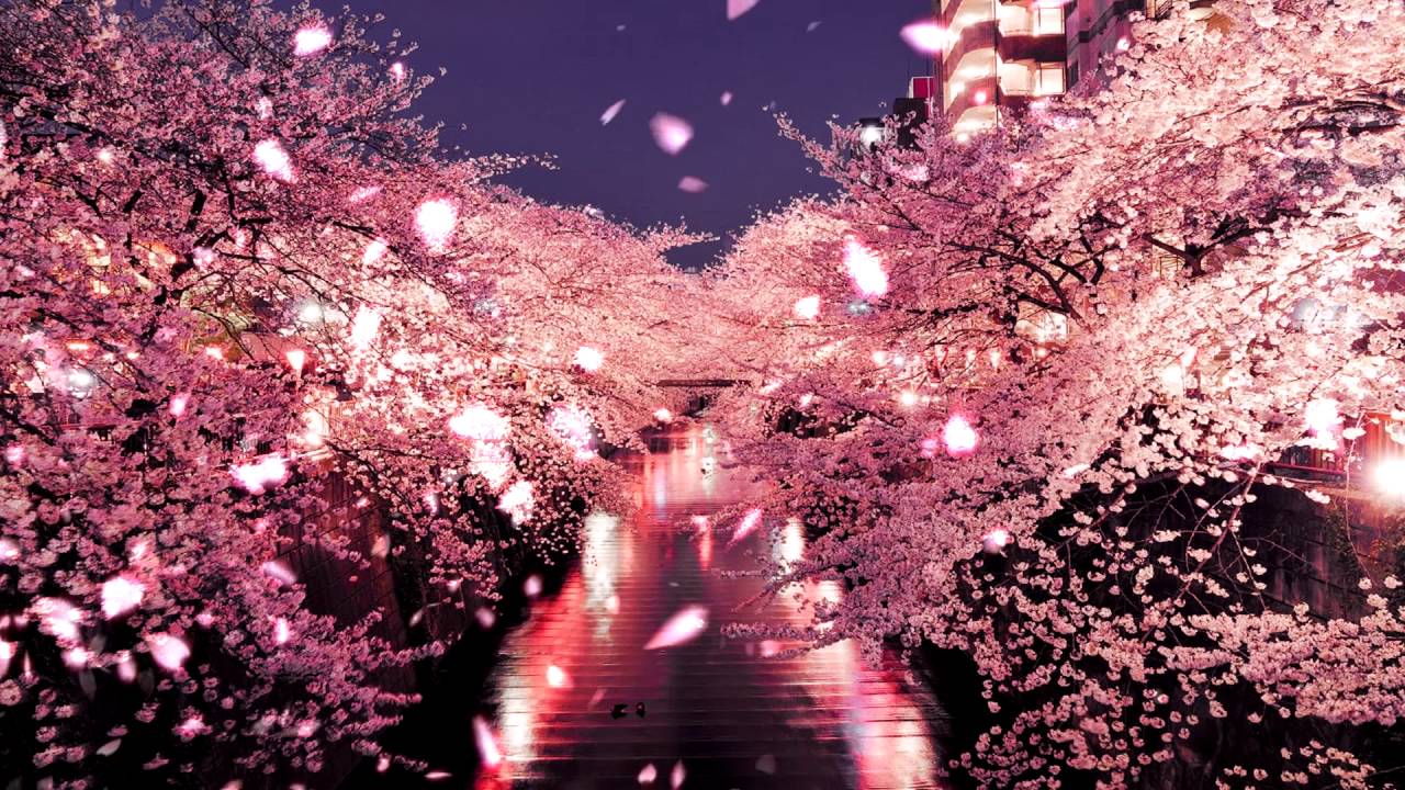 Beautiful Composition: Shiro - Hanami - YouTube