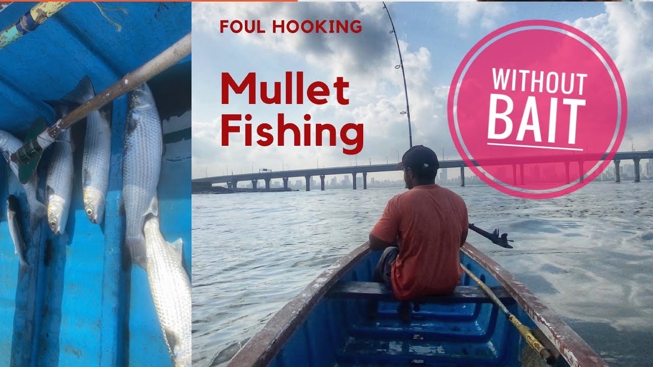 mullet fishing without Bait | foul hooking | Bandra Worli sea link ...