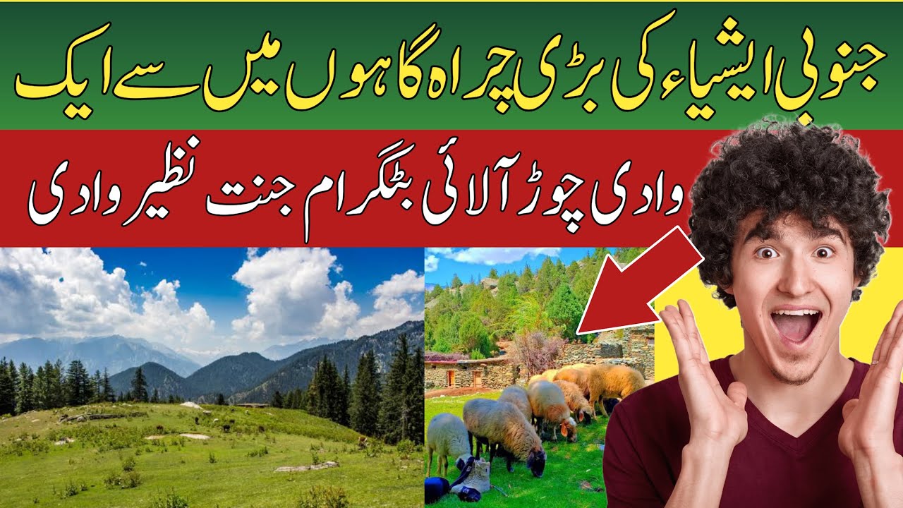 The Chor valley is the major grazing land of South Asia - YouTube