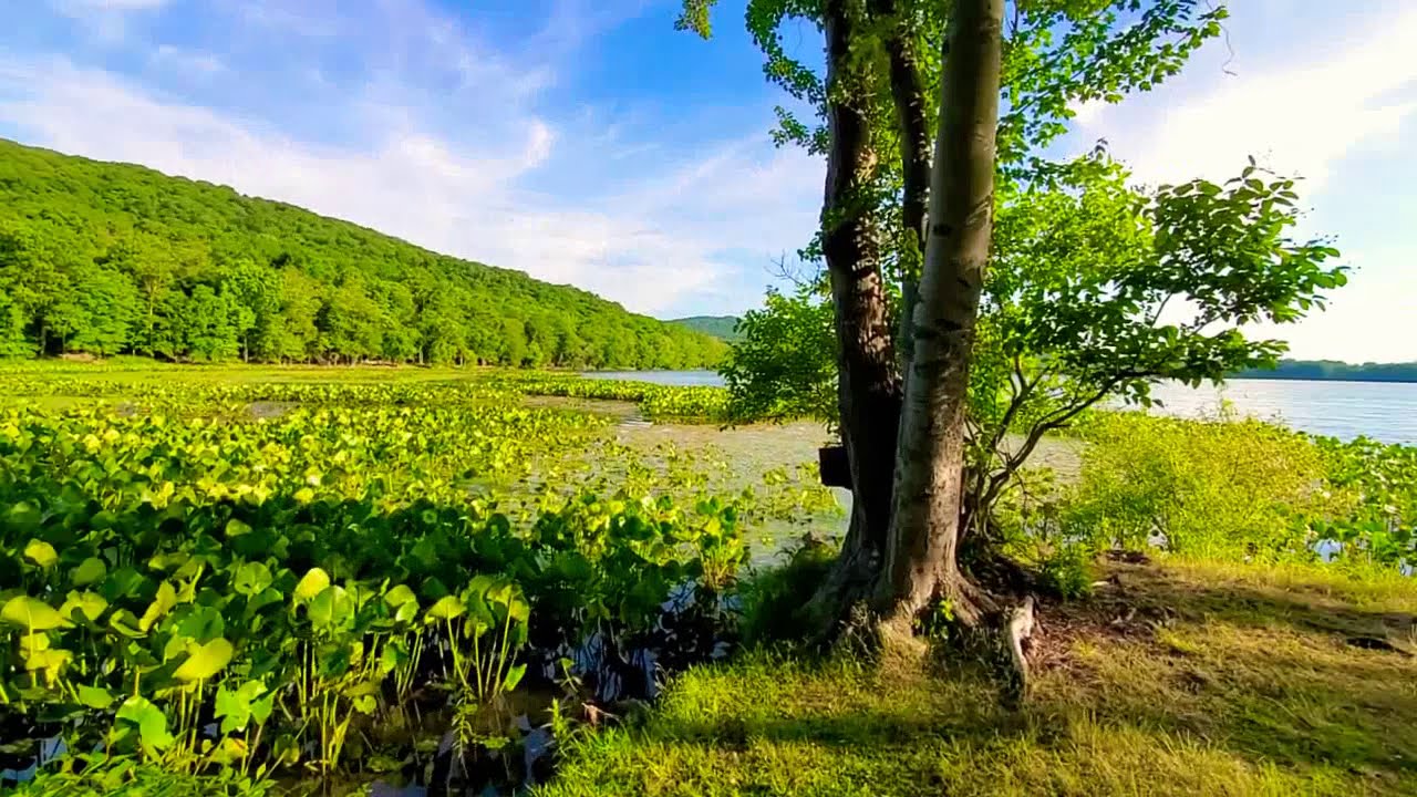 Rockland Lake State Park NY - YouTube