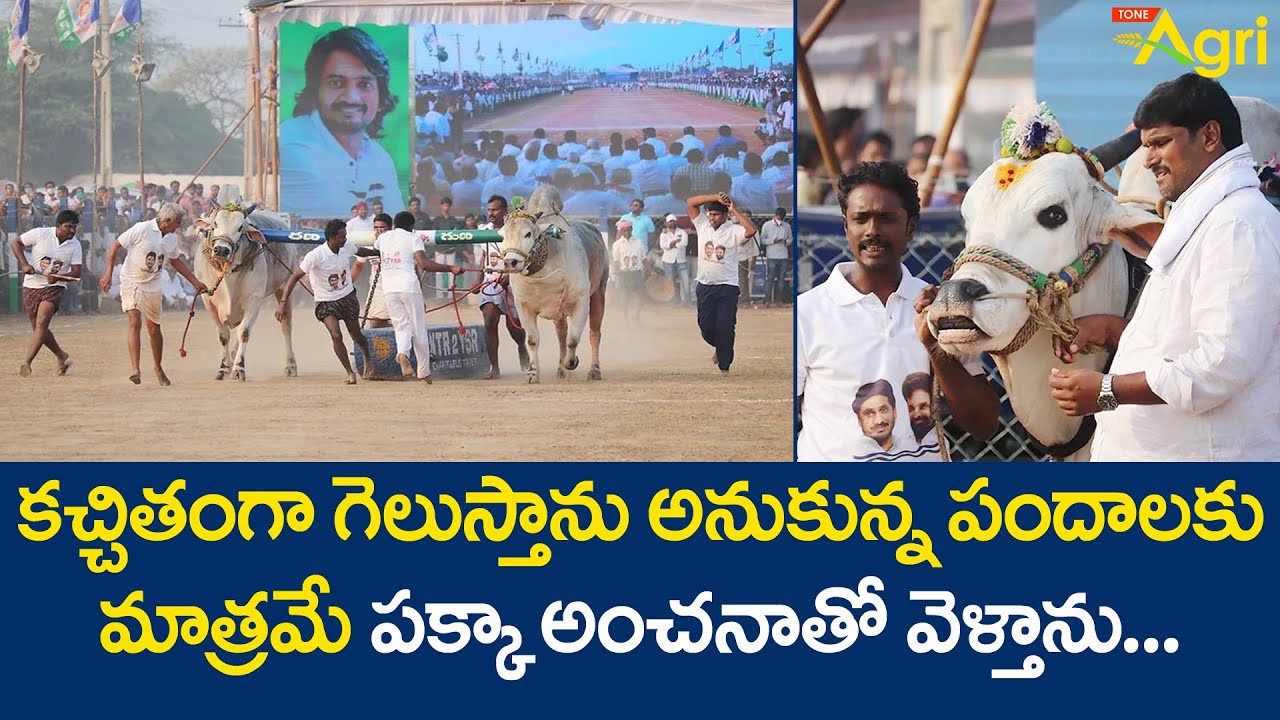 DVR Bulls Participating Categories | ఖచ్చితంగా గెలుస్తాను అనుకున్న ...